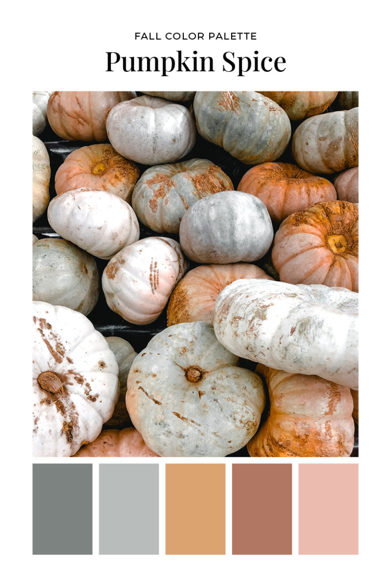 Fall Color Palette Inspiration - ES Creative Co