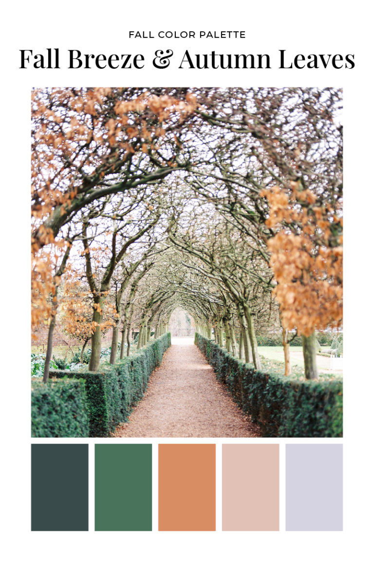 Fall Color Palette Inspiration - ES Creative Co